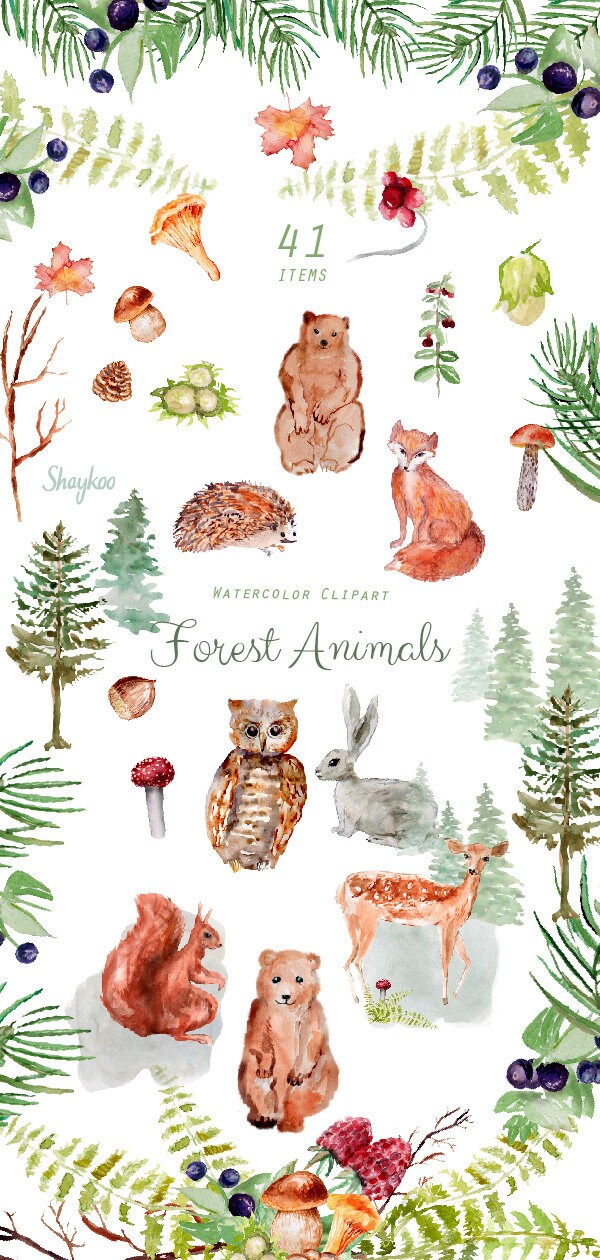 Forest Animals Watercolor Clipart Woodland Animals | Etsy