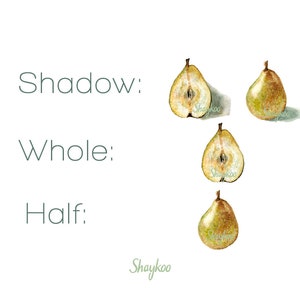 Pear Watercolor Clipart, Hand Painted Pears, Pear With Shadow ...