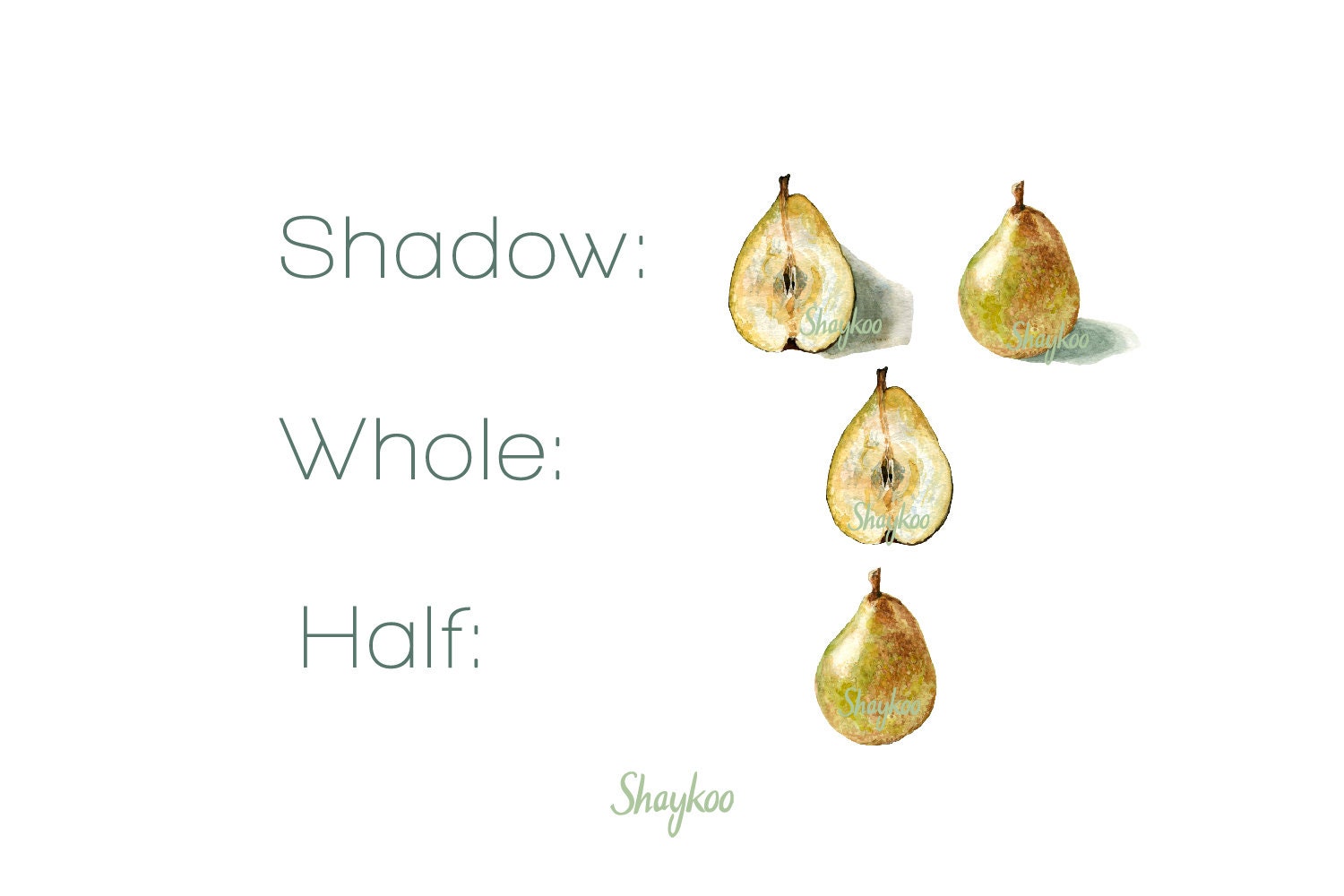 Pear Watercolor Clipart Hand Painted Pears Pear With Shadow - Etsy