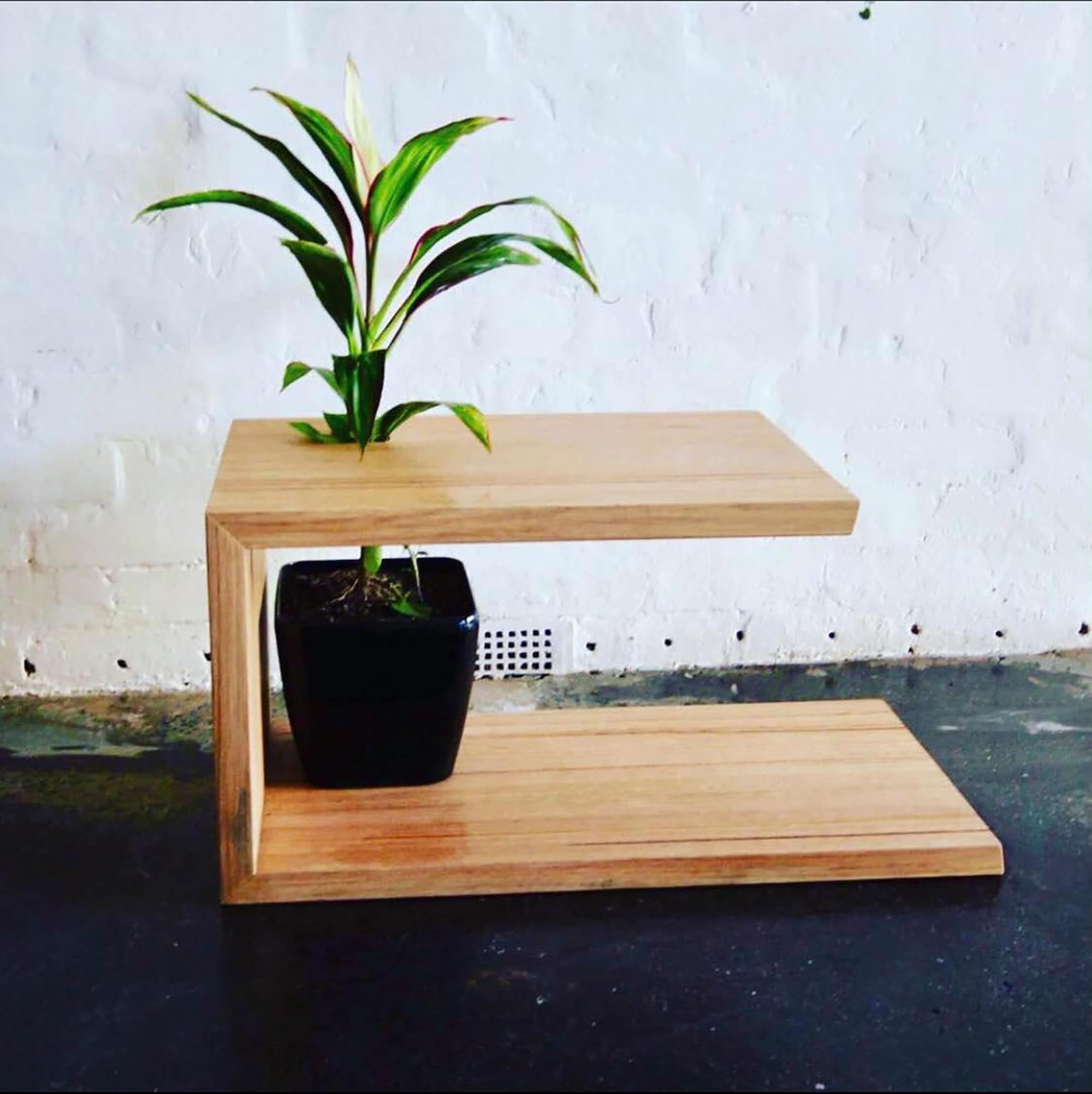 The Plant Table - Etsy Australia