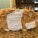 Guinea Pig Piñata, Hamster Piñata - Etsy