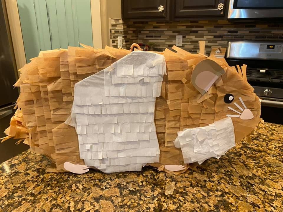 Guinea Pig Piñata Hamster Piñata - Etsy Australia