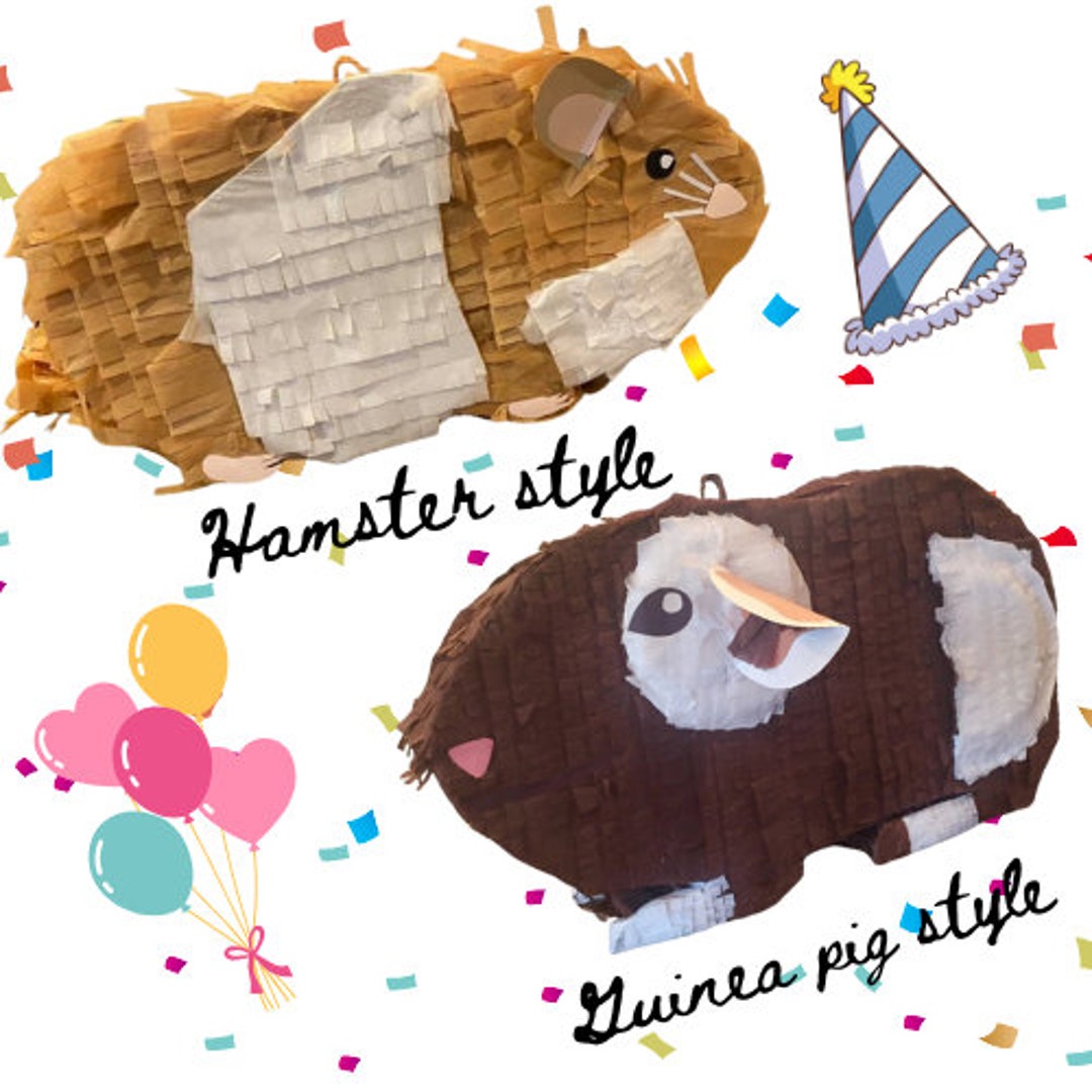 Guinea Pig Piñata, Hamster Piñata - Etsy