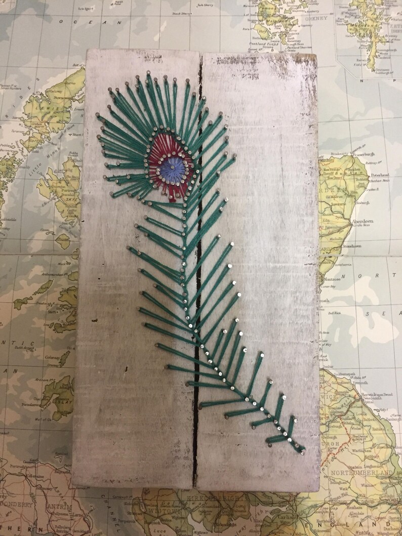 A String Art Peacock Feather on Reclaimed Wood - Etsy