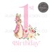 Flopsy Pink Peter Rabbit 1st Birthday PNG, Peter Rabbit Floral ...
