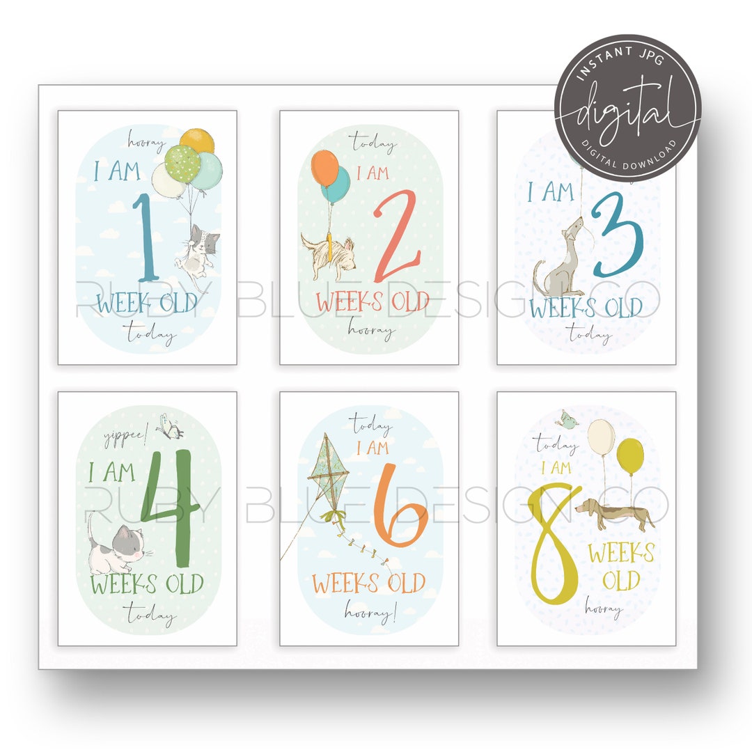 Milestone Cards Digital Downloads 18 JPG Files Clipart New Baby ...