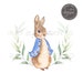 Peter Rabbit Blue Leaves PNG, Peter Rabbit, Digital Download, Printable ...