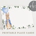 Printable Peter Rabbit Place Cards, Balloon, Birthday Party Place Cards ...