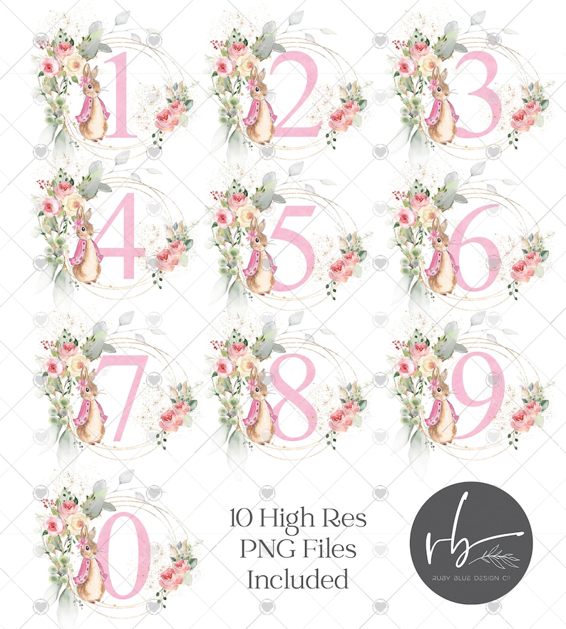 Pink Flopsy Rabbit Bundle 10 Numbers Birthday PNG Peter - Etsy