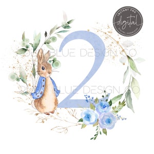 Peter Rabbit 2nd Birthday PNG, Peter Rabbit Blue Floral Wreath ...