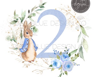 Peter Rabbit 1st Birthday PNG Peter Rabbit Blue Floral | Etsy UK