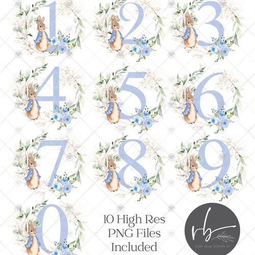Peter Rabbit BLUE Floral PNG Peter Rabbit Wreath Design - Etsy