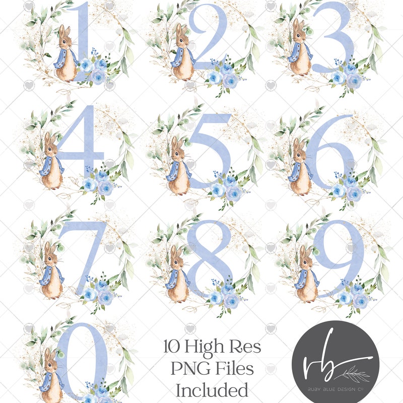 Rabbit Clip Art - Etsy