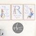 Peter Rabbit Beatrix Potter Baby Boy Nursery Decor Print Set - Etsy