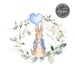 Flopsy Pink Peter Rabbit 1st Birthday PNG Peter Rabbit Floral - Etsy