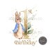 Peter Rabbit 1st Birthday PNG, Peter Rabbit Faux Gold Foliage Design ...