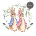Peter Rabbit Flopsy Rabbit Twins Spring Wreath Floral PNG - Etsy