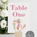 Editable Flopsy Peter Rabbit Table Numbers/names 2 Design - Etsy