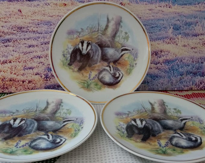 Vintage Wildlife of Britain Collector's Plate Badgers by Susan ...