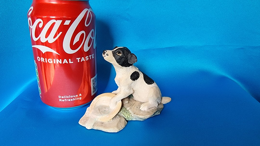 Black and White Dog, Pointer Dog, Bolognese Dog, Fox Terrier Dog, Dog ...