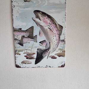 Trout Fish, Metal Sign, Metal Tin Sing, Metal Tin Fish, Metal Wall Art ...