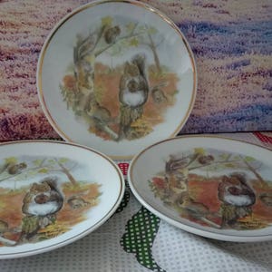 Collectible Squirrel Plate, Wildlife of Britain - Etsy