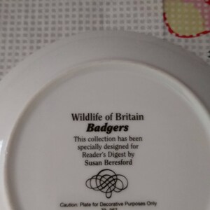 Vintage Wildlife of Britain Collector's Plate Badgers by - Etsy