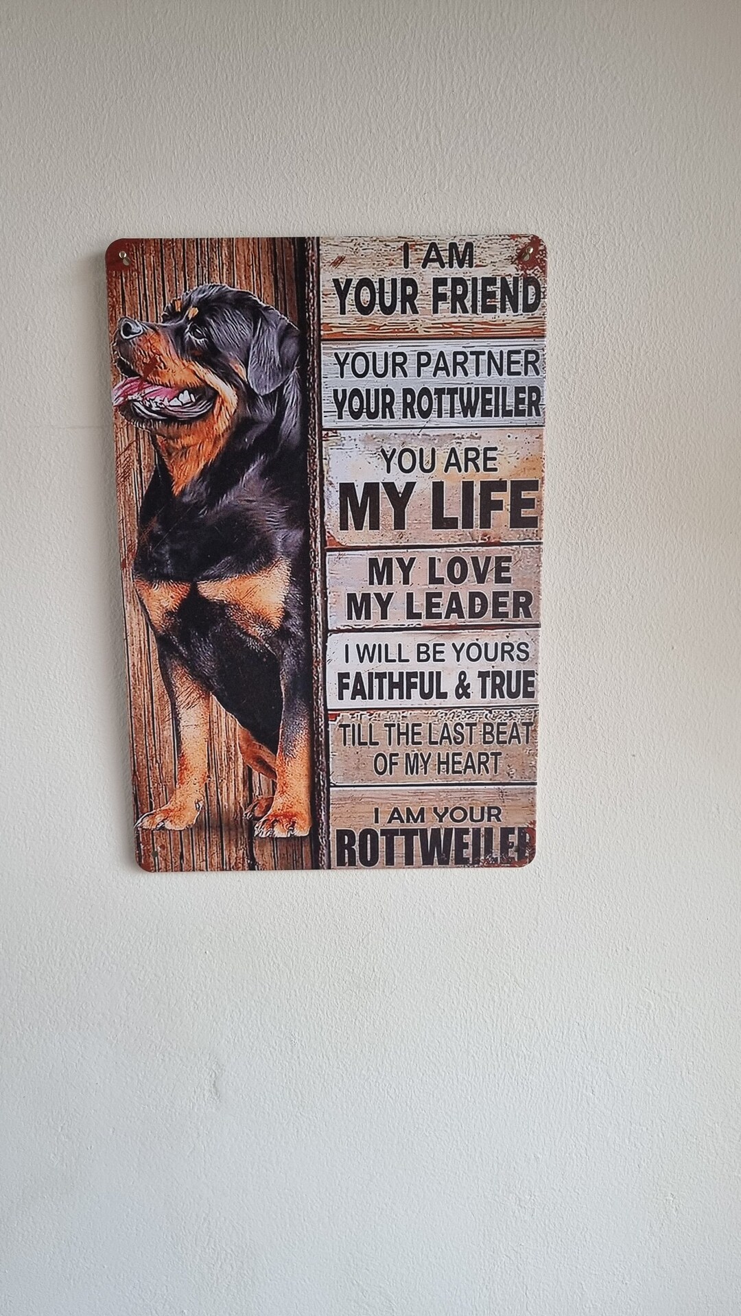 Rottweiler Metal Tin Sign: Dog Wall Art (30cm X 20cm) - Etsy