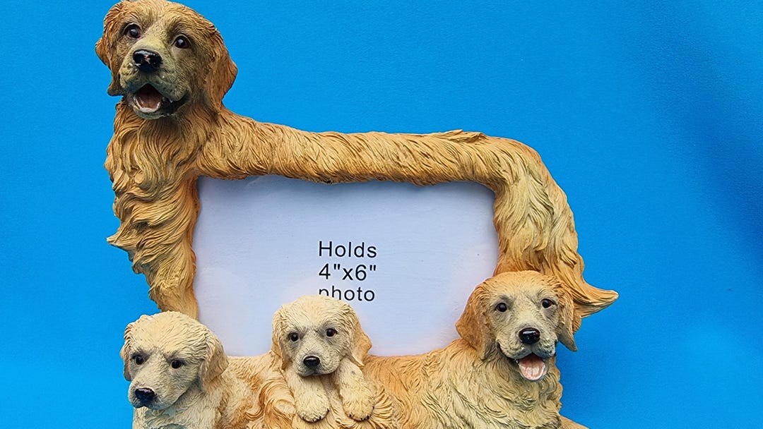 Golden Retriever Frame, Retriever Picture Frame, Labrador Picture Frame ...