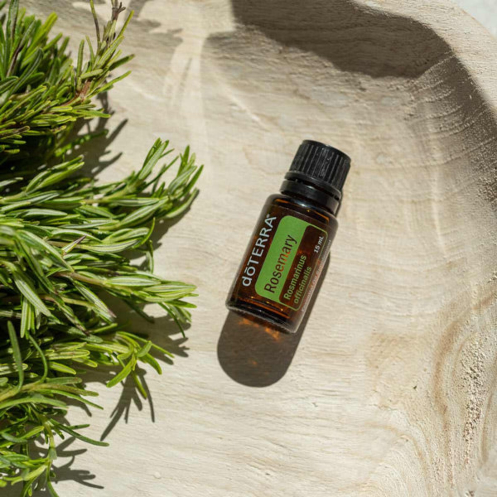 DoTERRA Rosemary Essential Oil 15 mL | Etsy DoTERRA Rosemary Essential Oil 15 mL | Etsy