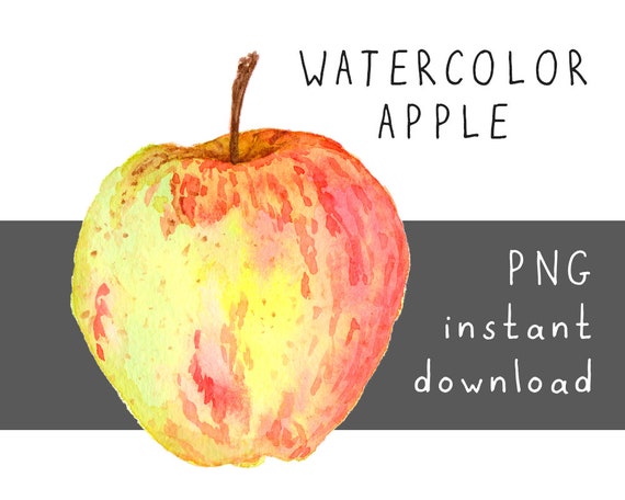 Watercolor Apple Clipart. Instant Download. Hand Drawn | Etsy