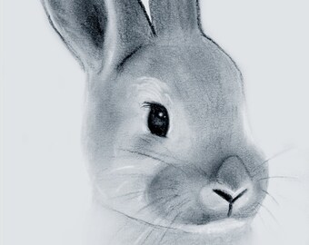 Charcoal Rabbit Drawing - Etsy