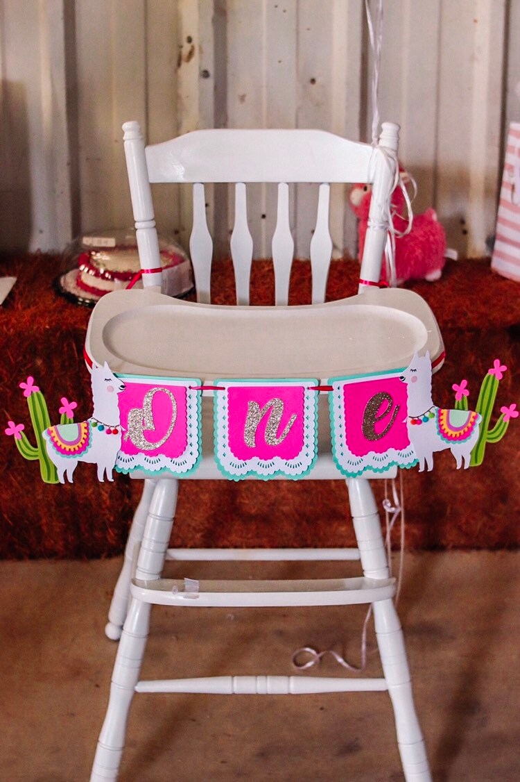 Llama happy birthday banner first fiesta banner llama | Etsy