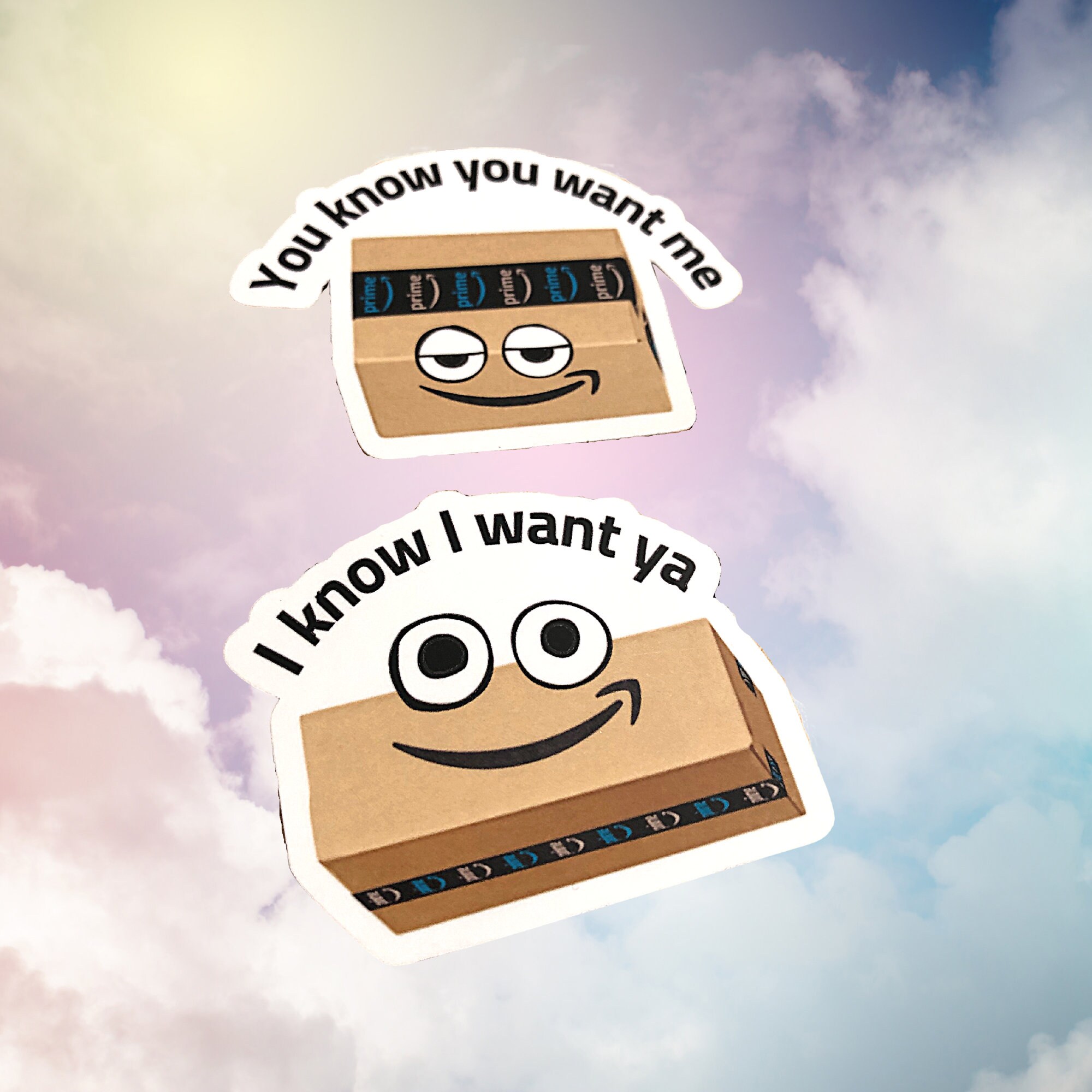 Amazon Box Sticker Waterproof Sticker Bitches - Etsy