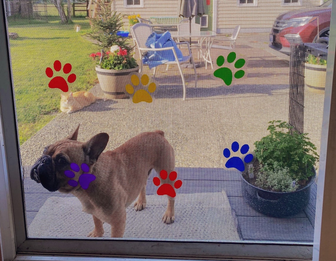Paw Print Screen Decals | Screen Visibility Decals for Dogs and Cats ...