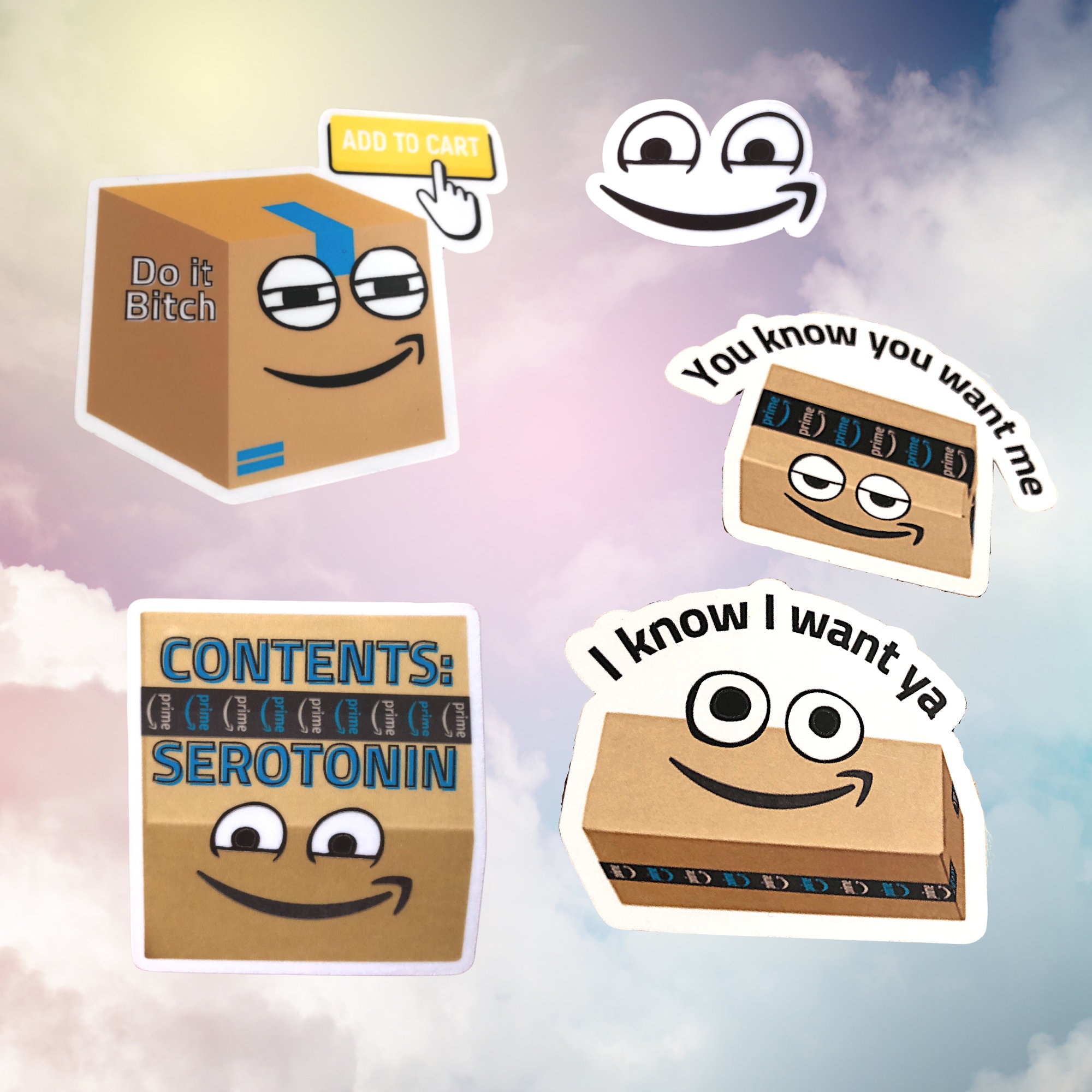 Amazon Box Sticker Waterproof Sticker Bitches - Etsy