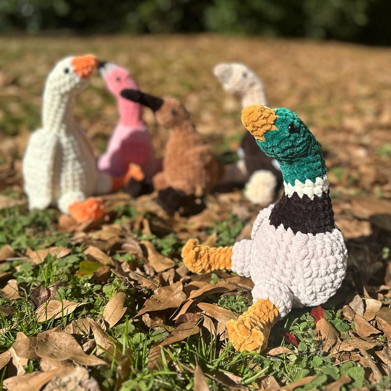 Silly Goose 5-in-1 Crochet Pattern PDF Download - Etsy