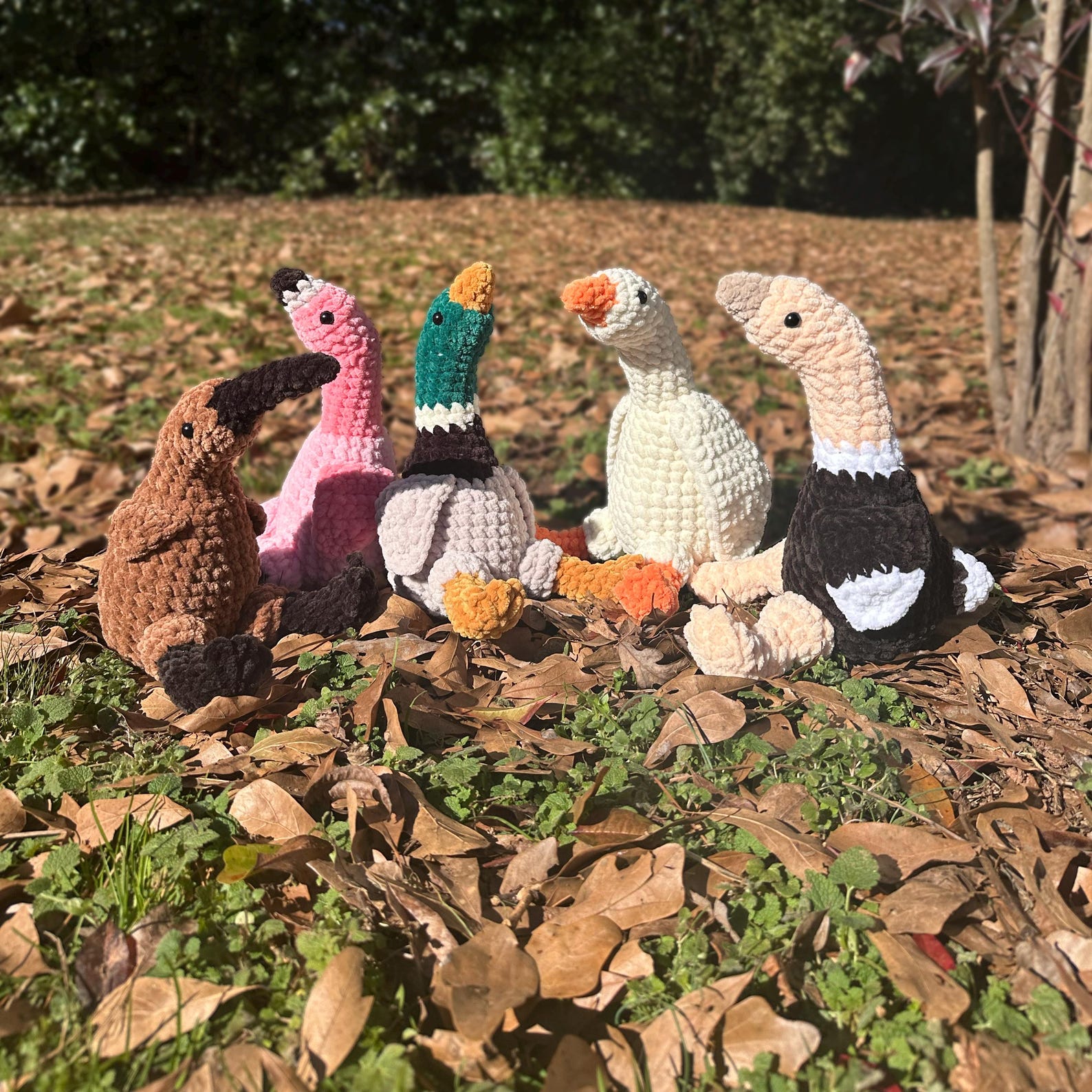 Silly Goose 5-in-1 Crochet Pattern PDF Download - Etsy
