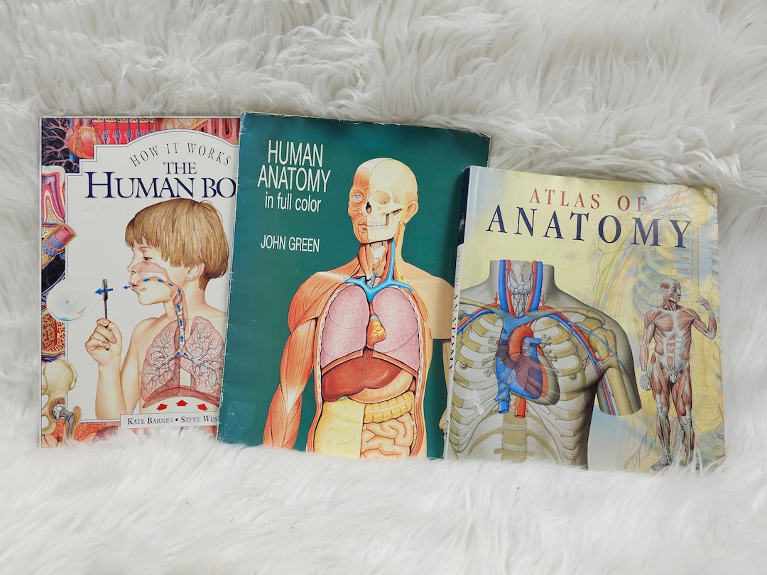 3 Book Combo Anatomy the Human Body Vintage and Modern Paperback ...