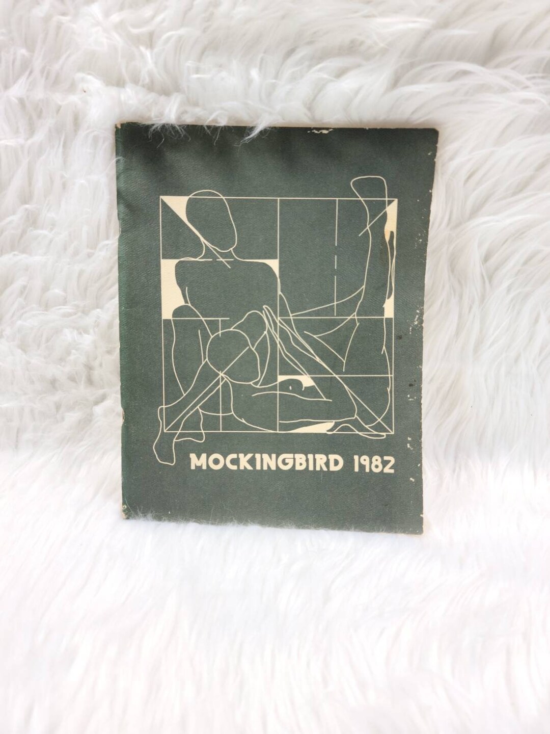 Rare Print Vintage 1982 Mockingbird East Tennessee State University ...