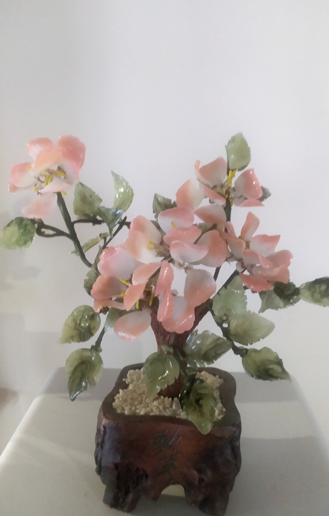 Banzai Chinese Jade Tree - Etsy