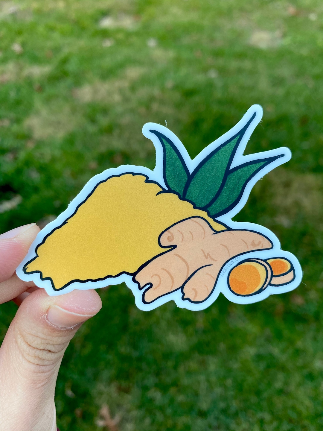 Haldi Sticker 3 Sticker Spice Collection - Etsy Hong Kong