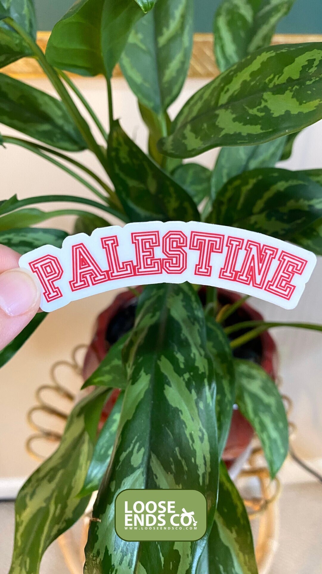 Palestine (3" Sticker) - Falasteen Collection - Etsy