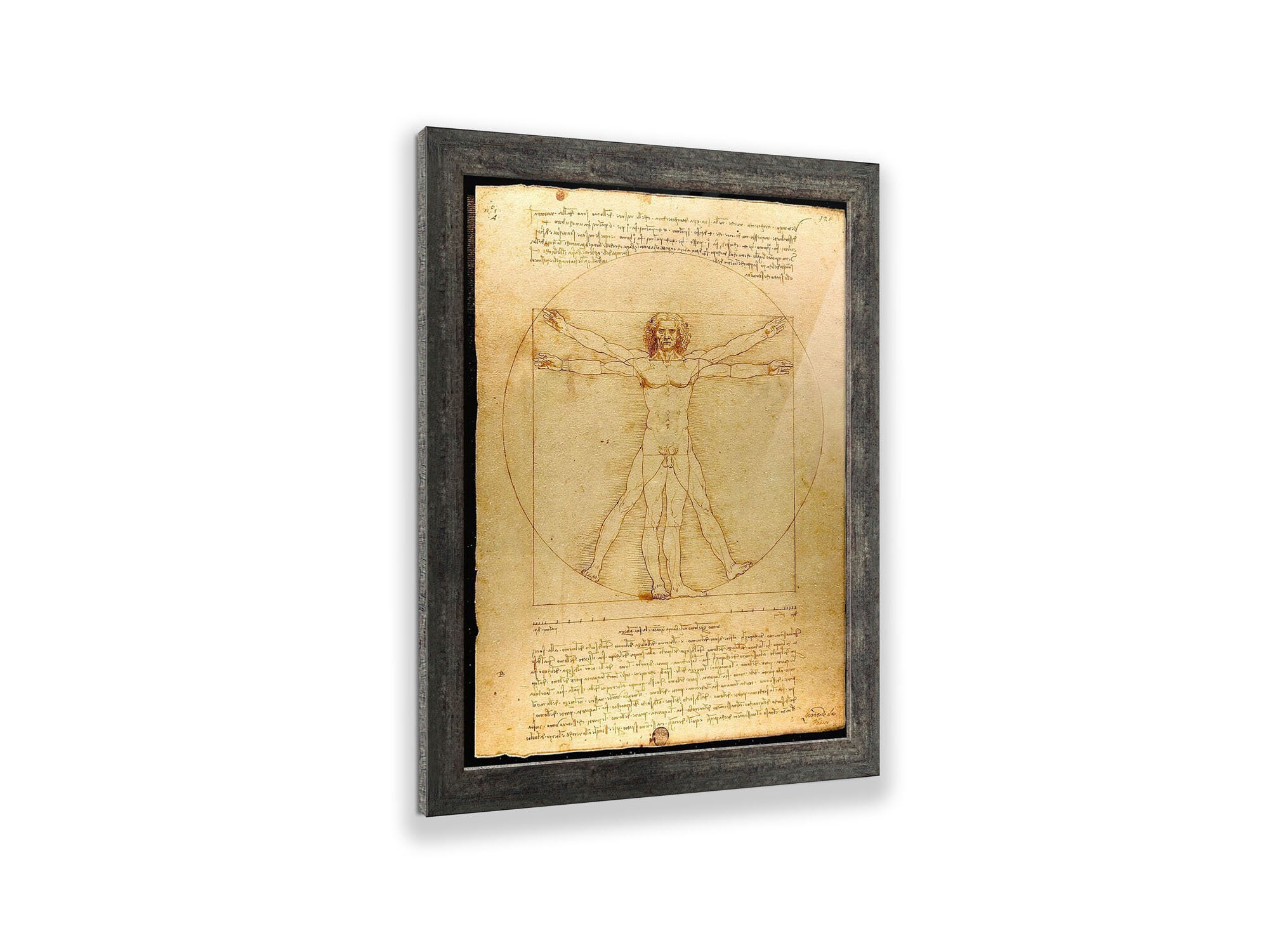 Leonardo Da Vinci Inventions Collage World Famous Wall Art - Etsy