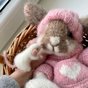Knitted Holland Lop Bunny in Clothes With a Mouse Knitted Realistic ...