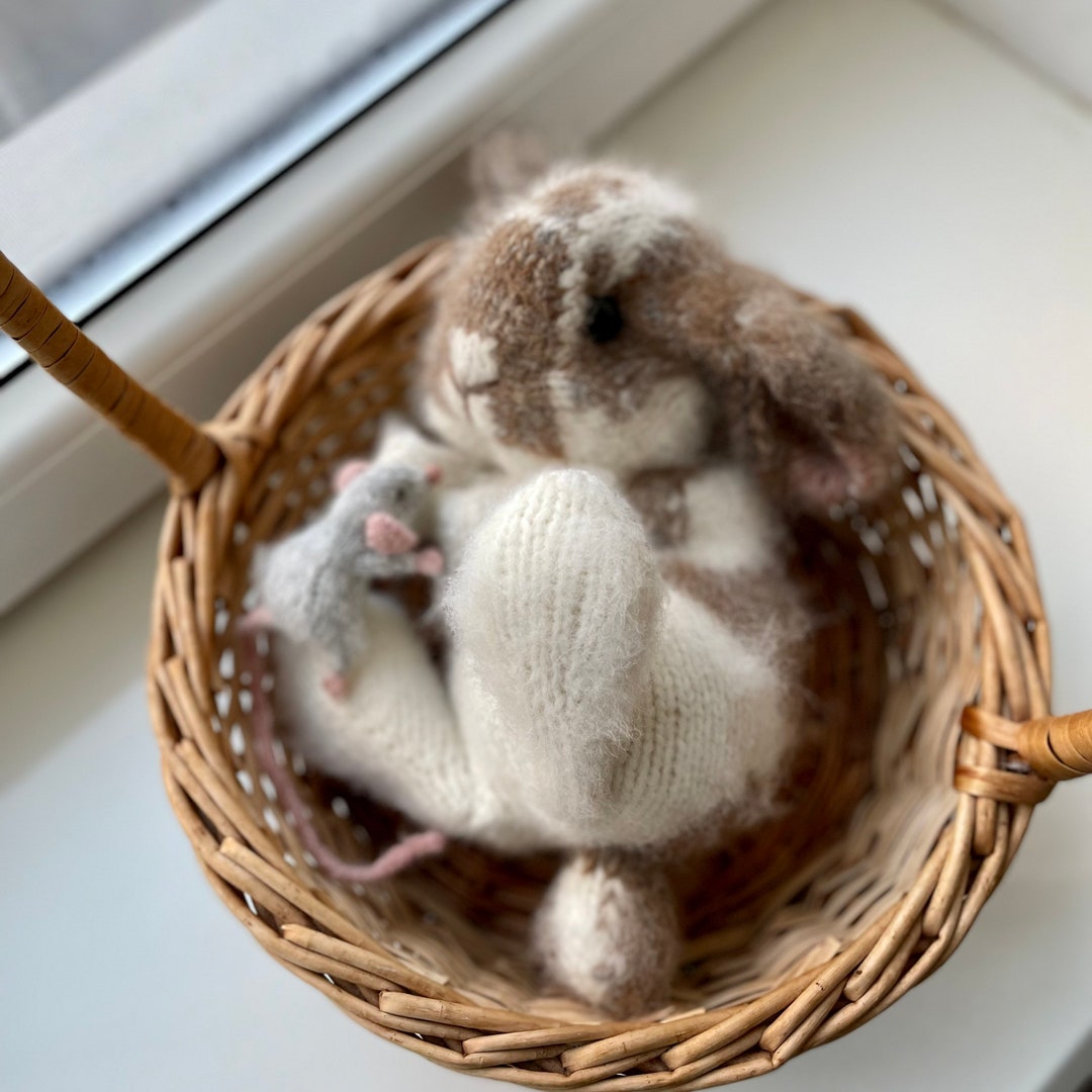 Knitted Realistic Toys Holland Lop and Mouse Knitted Rabbit Knitted ...