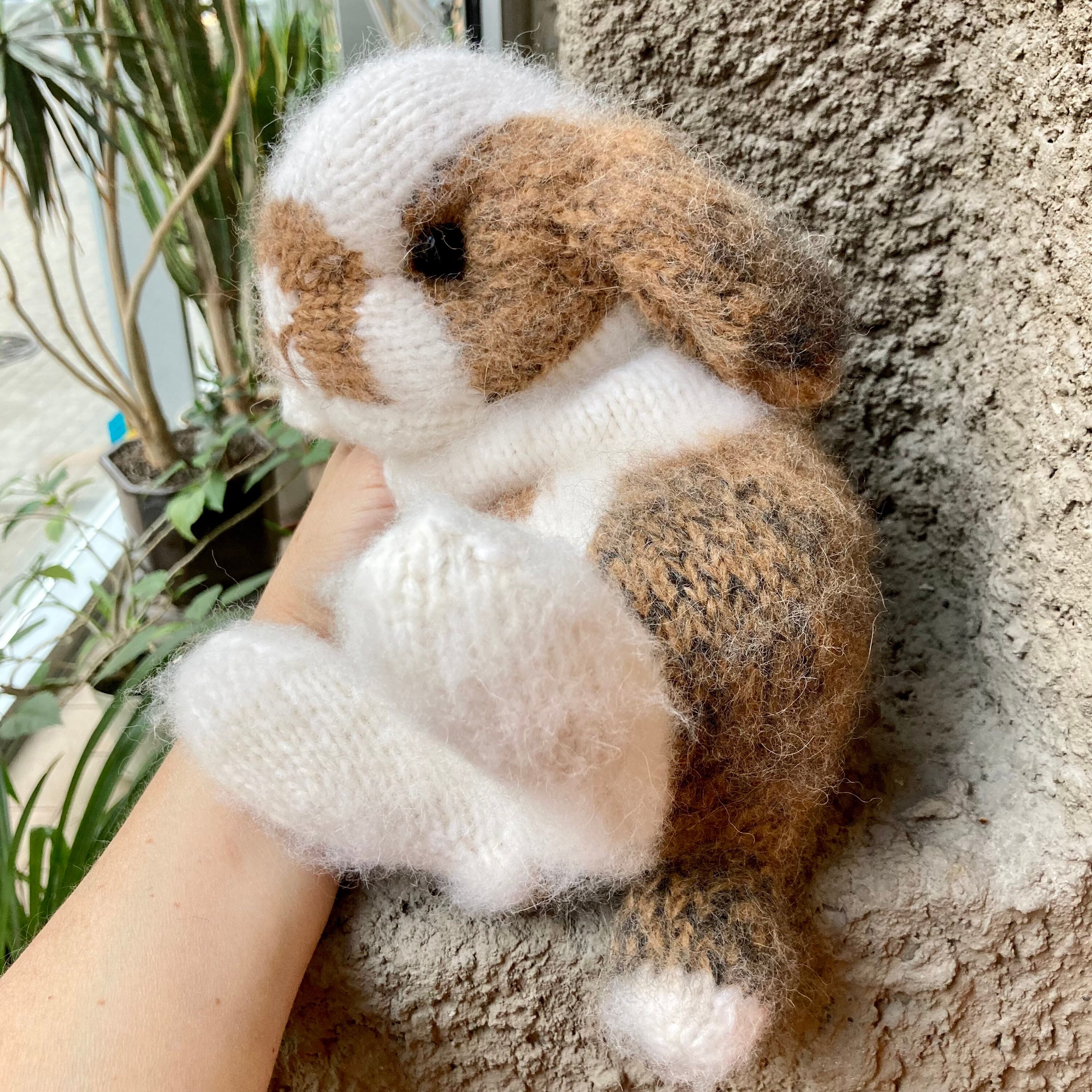 Knitted Holland Lop Bunny Realistic Stuffed Rabbit Knitted - Etsy