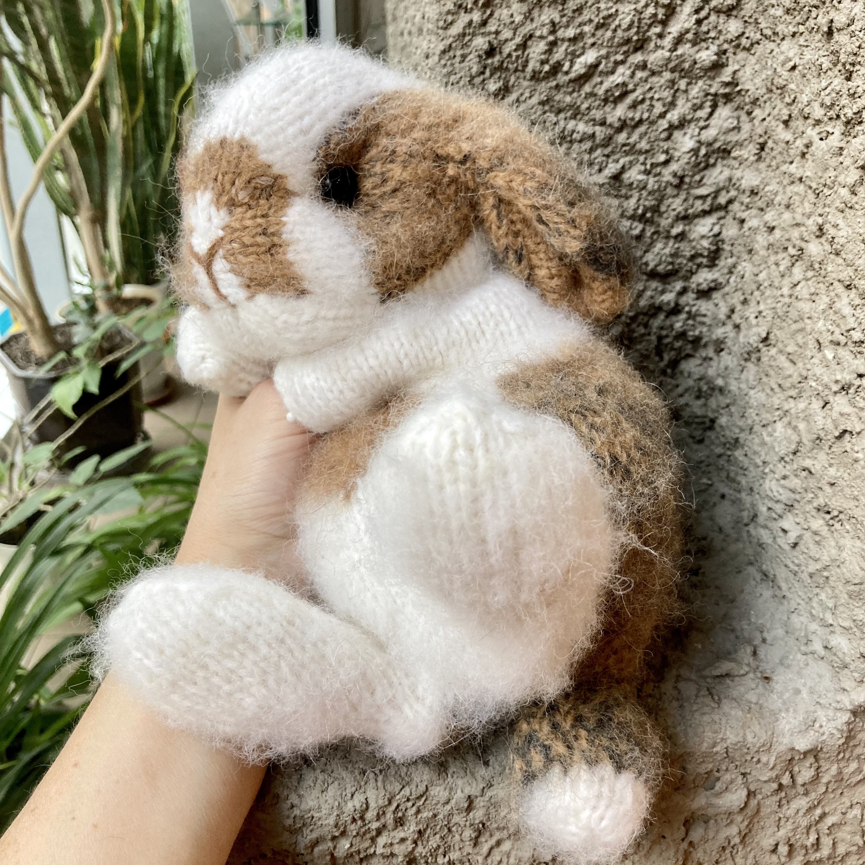 Knitted Holland Lop Bunny Realistic Stuffed Rabbit Knitted - Etsy