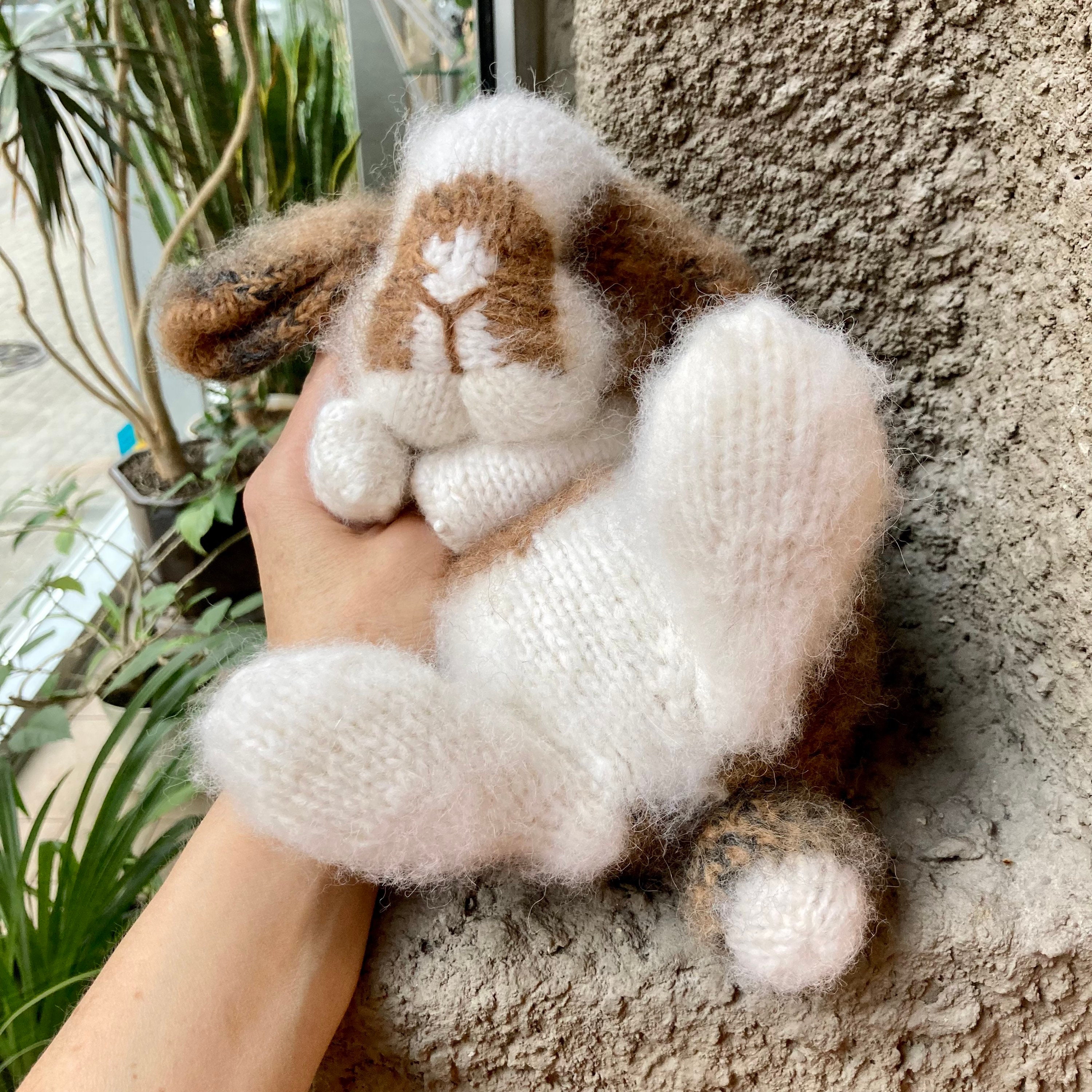 Knitted Holland Lop Bunny Realistic Stuffed Rabbit Knitted - Etsy