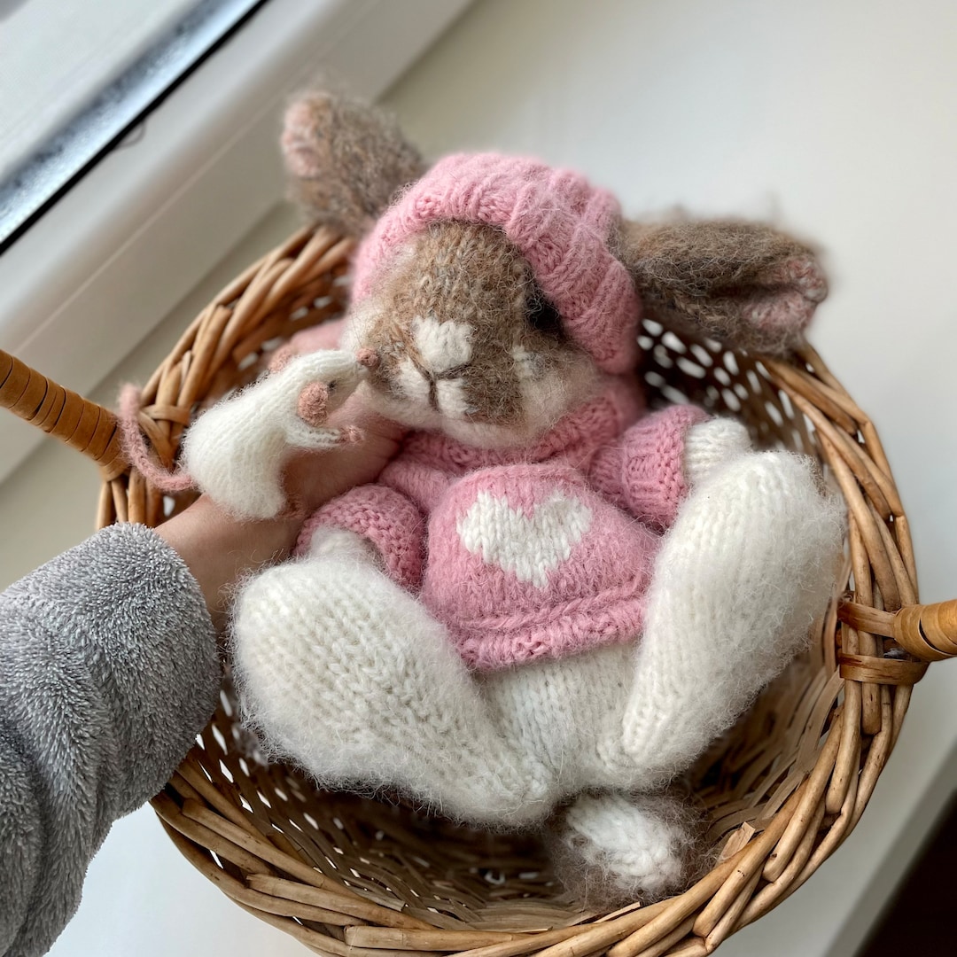 Knitted Holland Lop Bunny in Clothes With a Mouse Knitted Realistic ...